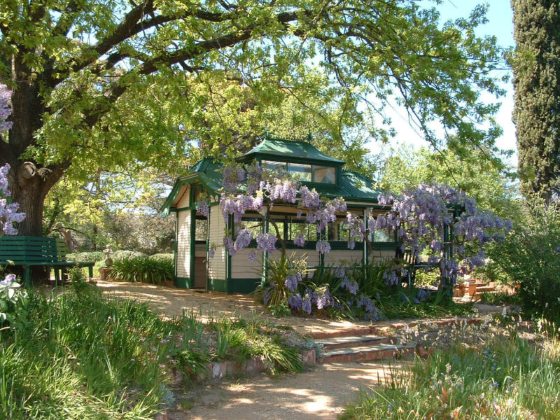 Buda Castlemaine | The House