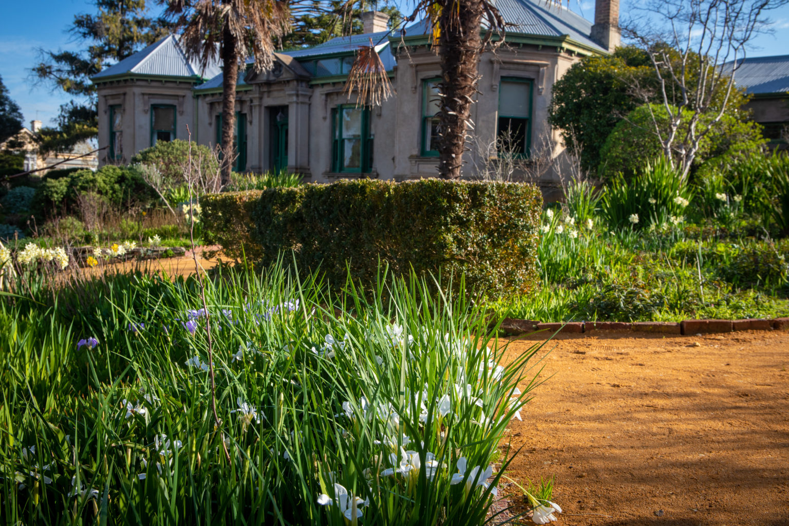 Buda Castlemaine | The Garden